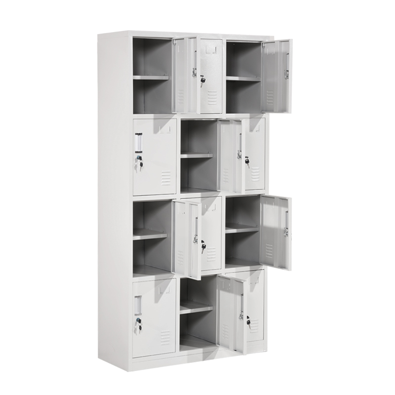 PRODUCTS SHOW | 12 door steel locker